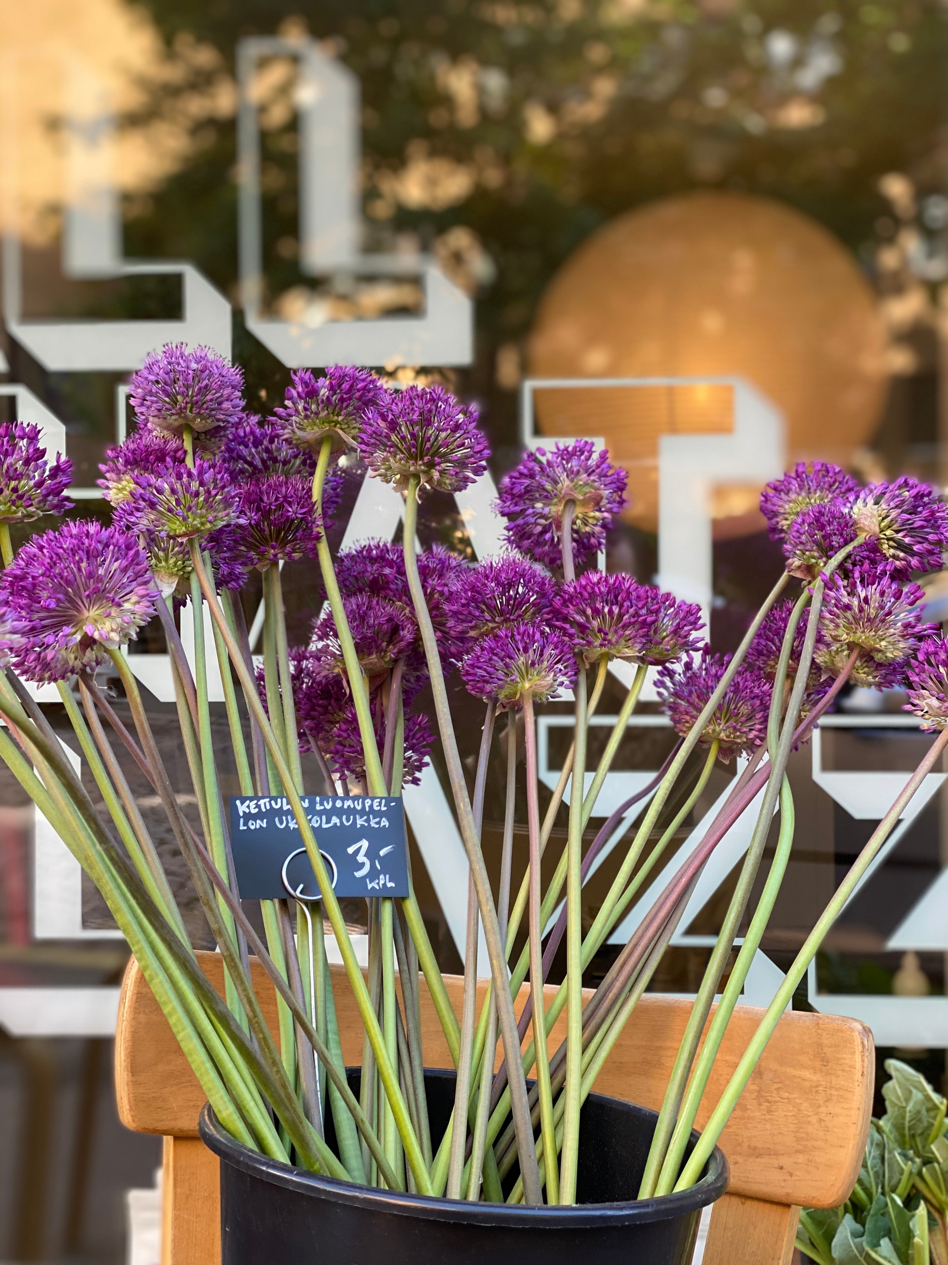 All That Plazz Webstore